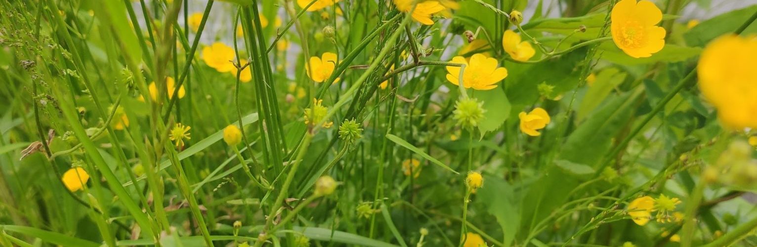 Belfer w podróży – Za dwadzieścia lat bar­dziej będziesz żałował te­go ...